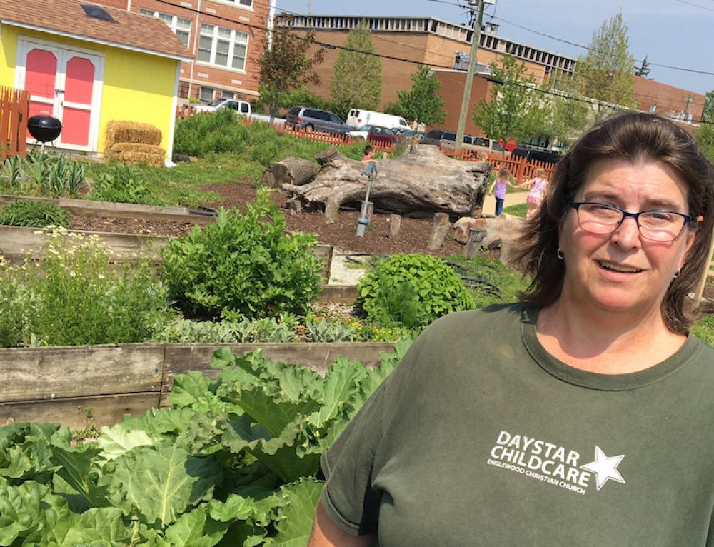 Damar Services - Kathy Tierney - MCSWCD