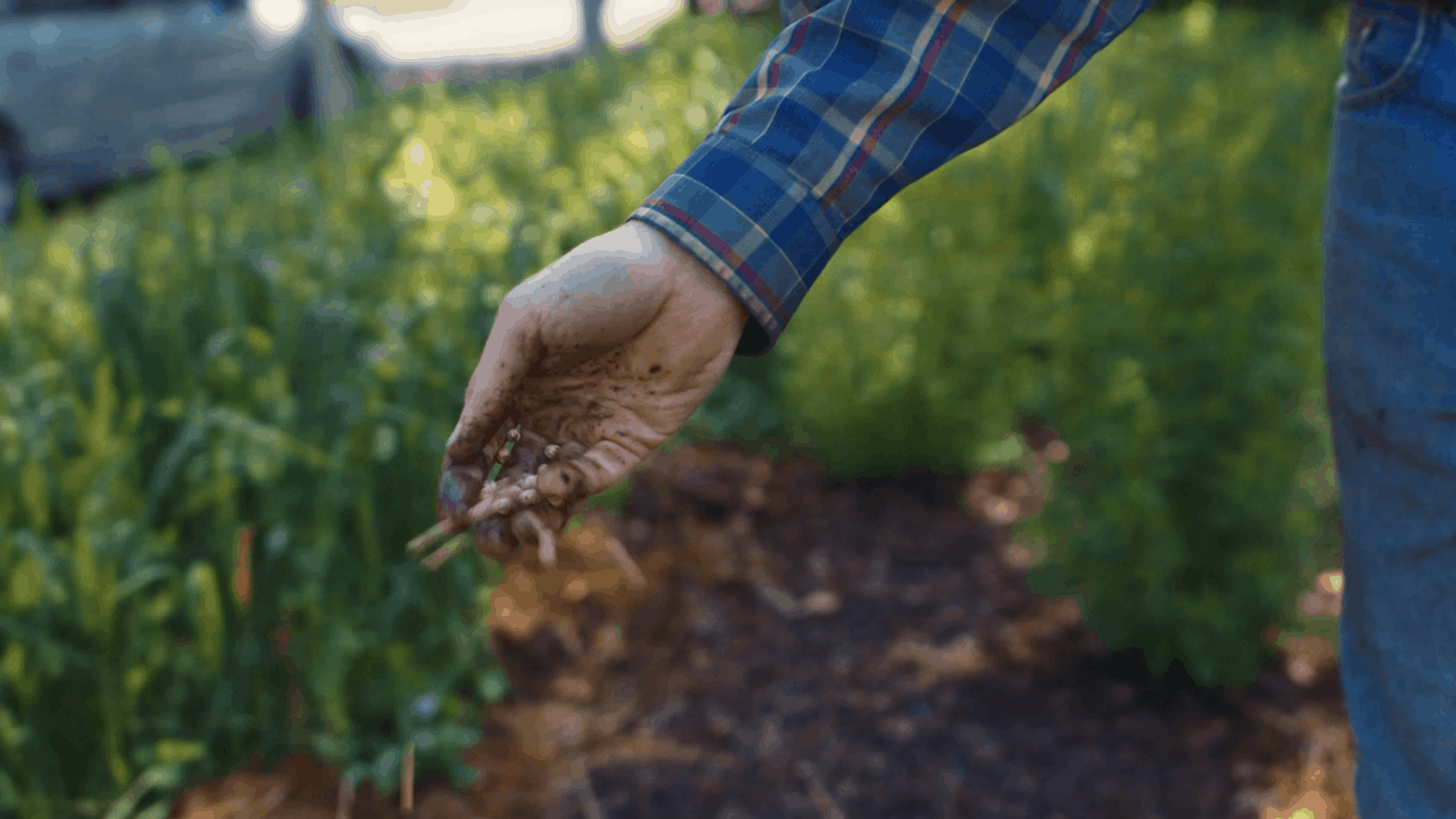 Big or Small, Healthy Soil Helps Us All - MCSWCD